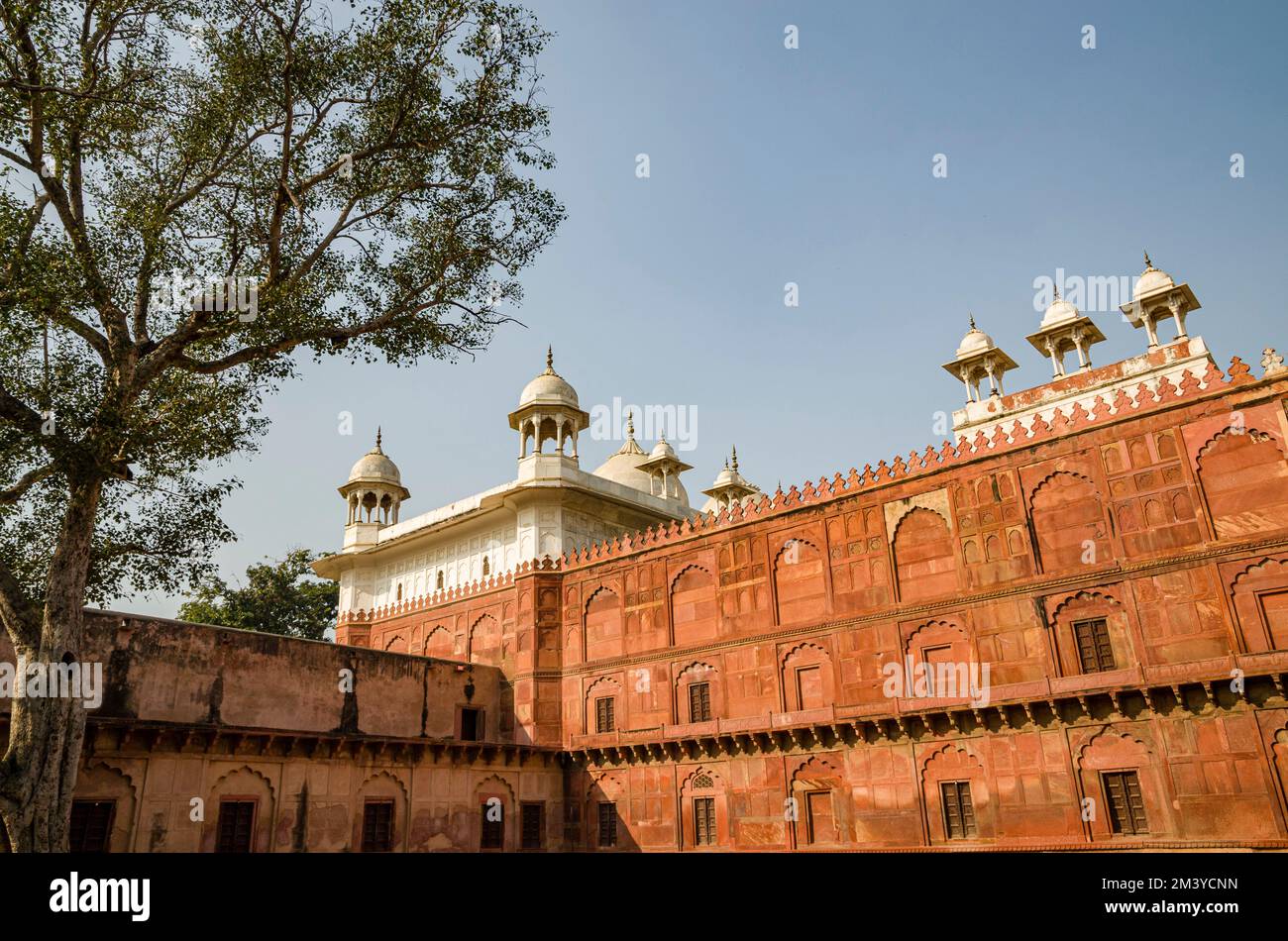 Details of Agra Fort Stock Photo - Alamy