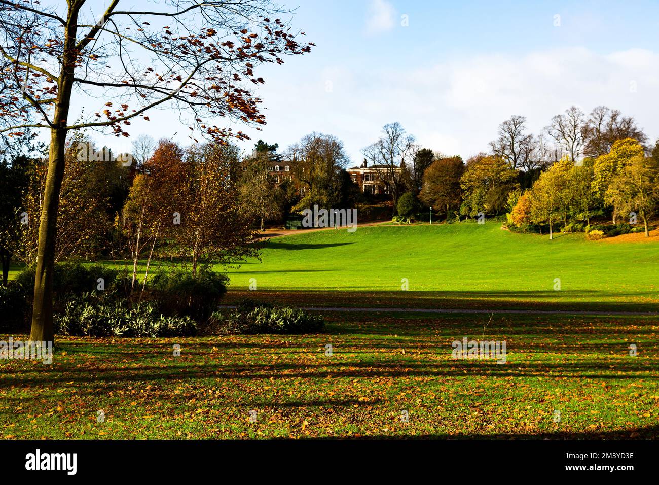 Green field in a park in Avenham Park, Preston, Lancashire, UK Stock ...
