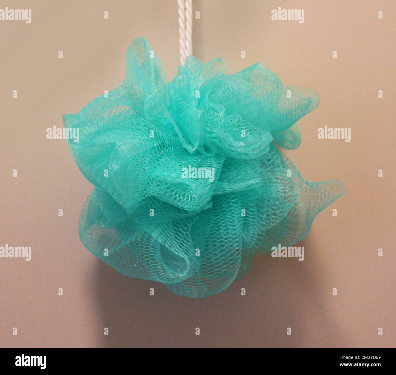 An Aqua Blue Shower Puff Scrubber Stock Photo - Alamy