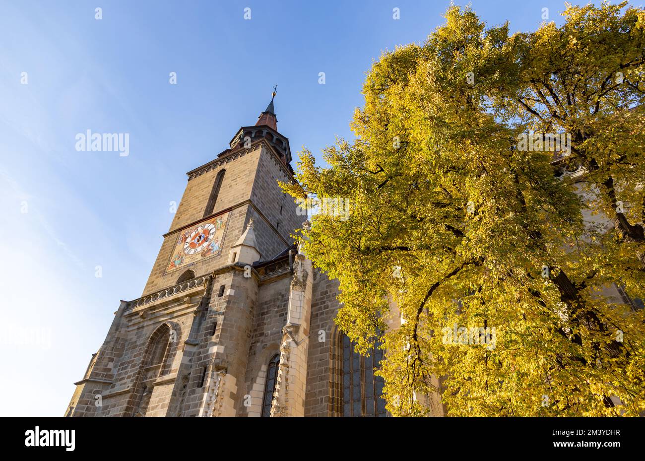 Clock tower and fall foliage hi-res stock photography and images - Alamy