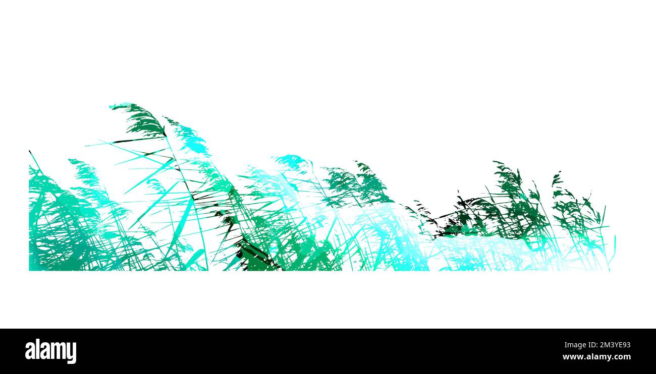 real green grass silhouette. Reeds silhouette tracing. Vector ...