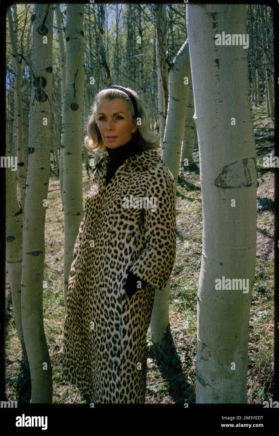 Town and Country, Ann Taylor, Toni Frissell, Antoinette Frissell Bacon ...