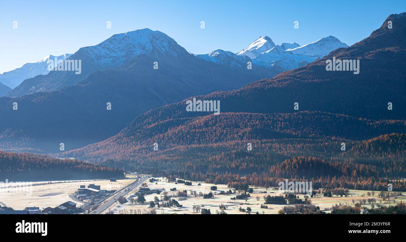 Golden larch trees and rime on the fields in Engadin Valley ...