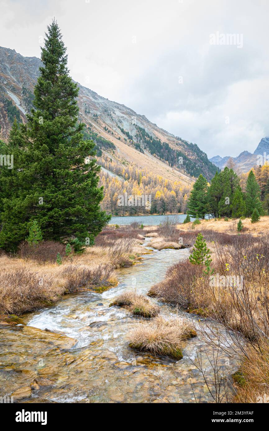 Scenic mountain stream in an alpine landscape where the mountains are ...