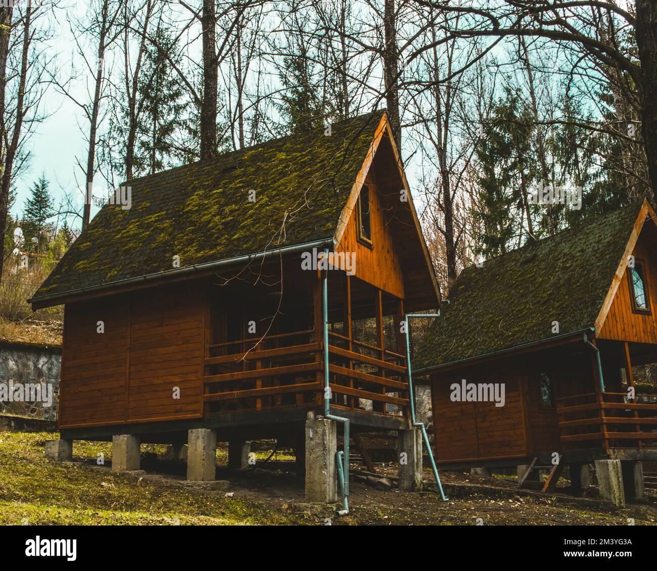 The small wooden huts with mossy rooftops in the middle of a dense ...