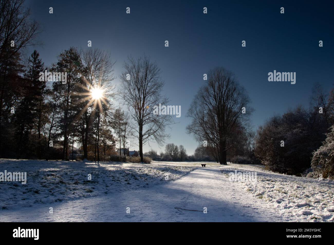 December sunny hi-res stock photography and images - Alamy