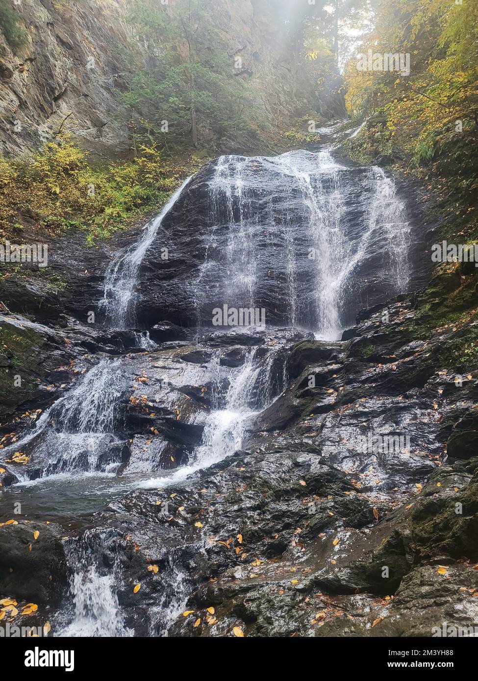A beautiful view of a waterfall flowing down rocks in an autumn forest ...