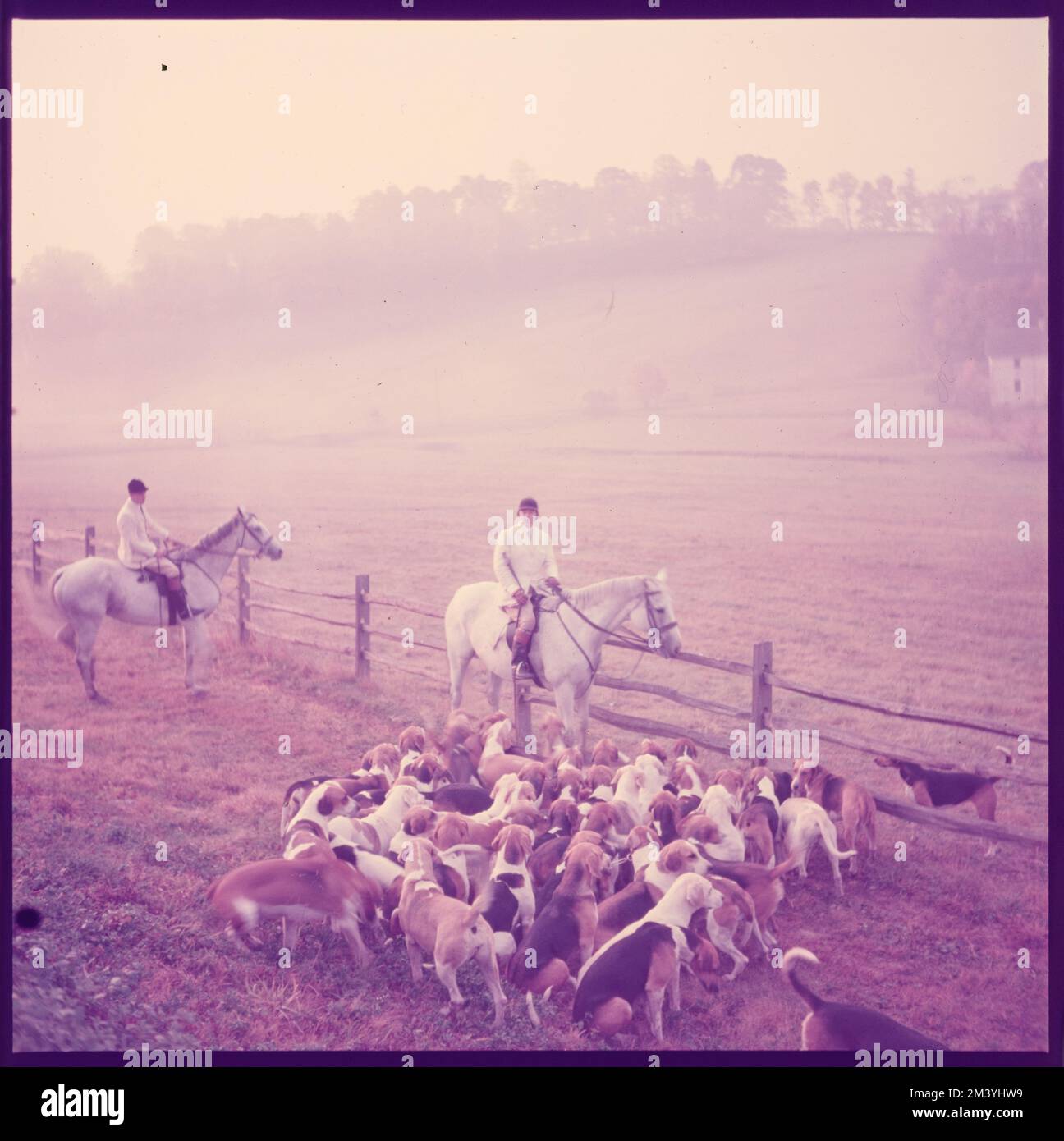 Fox - Hunting - Cubbing - Chesive, Toni Frissell, Antoinette Frissell ...