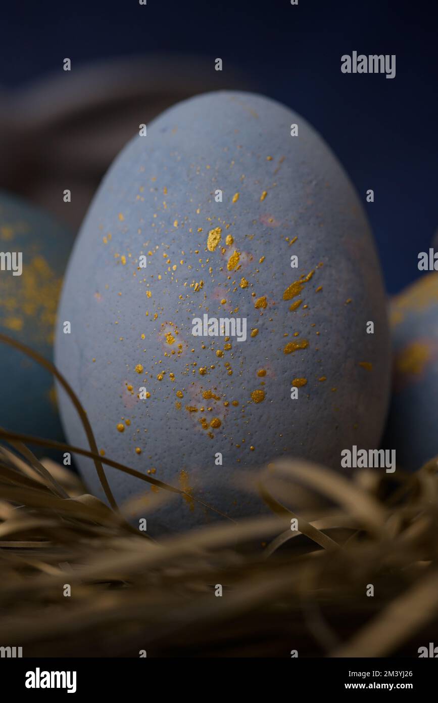 A closeup view of an egg in blue color Stock Photo - Alamy