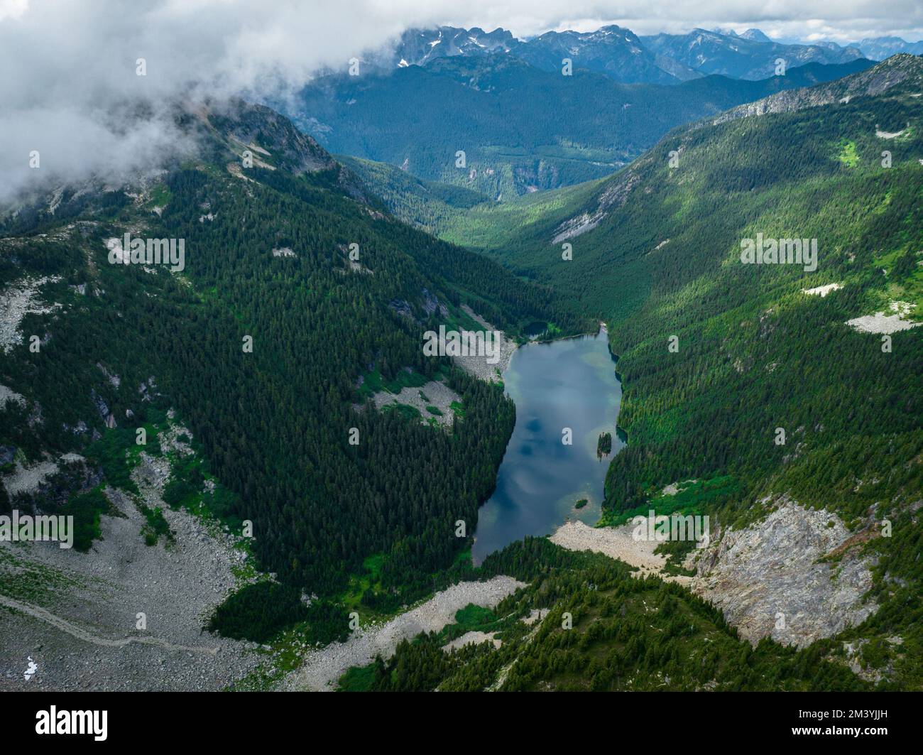 An aerial shot overlooking the beautiful bright green forest in Flora ...