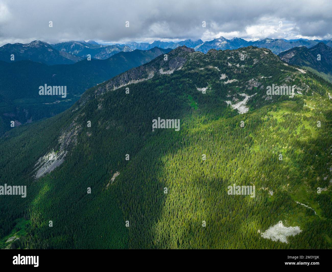 An aerial shot overlooking the beautiful bright green forest in Flora ...