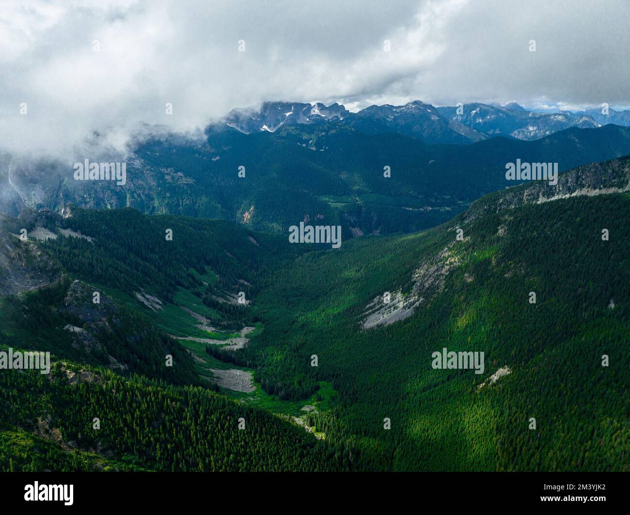 An aerial shot overlooking the beautiful bright green forest in Flora ...