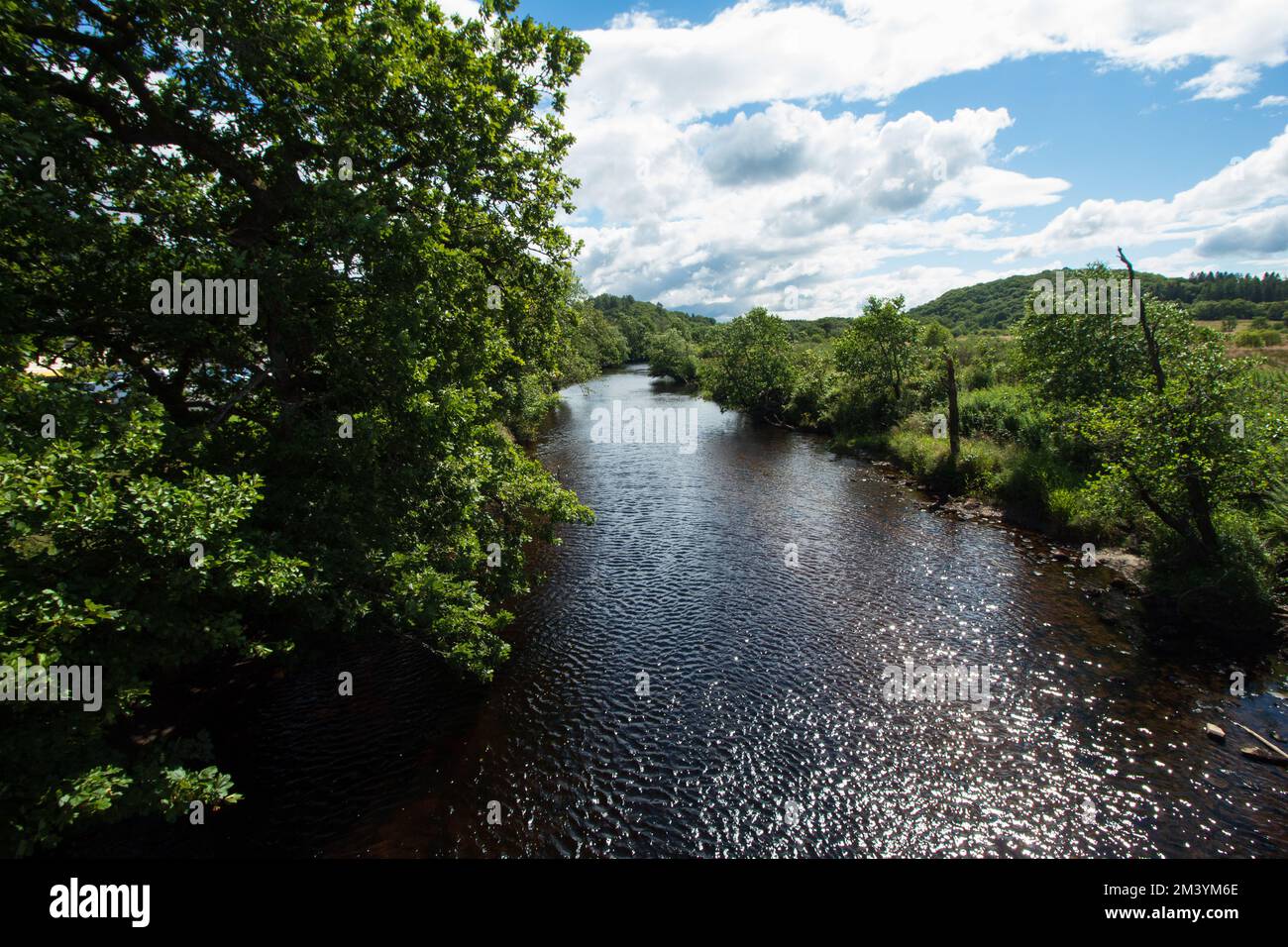 Scottish highlander in river hi-res stock photography and images - Alamy