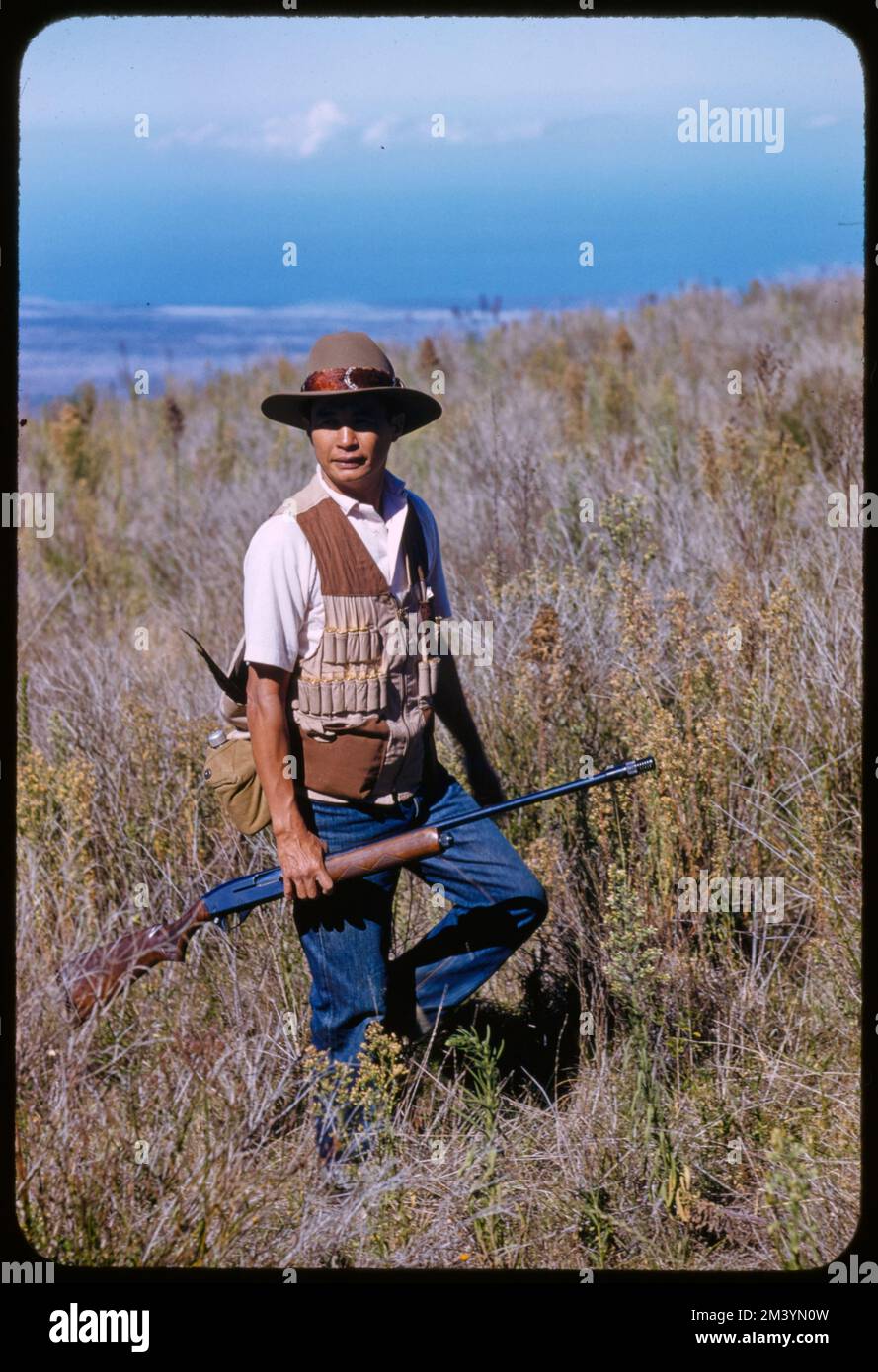 Hawaii - , Toni Frissell, Antoinette Frissell Bacon, Antoinette ...