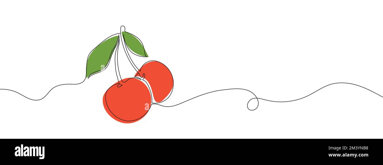 Cherry fruits continuous line drawn isolated on white background ...