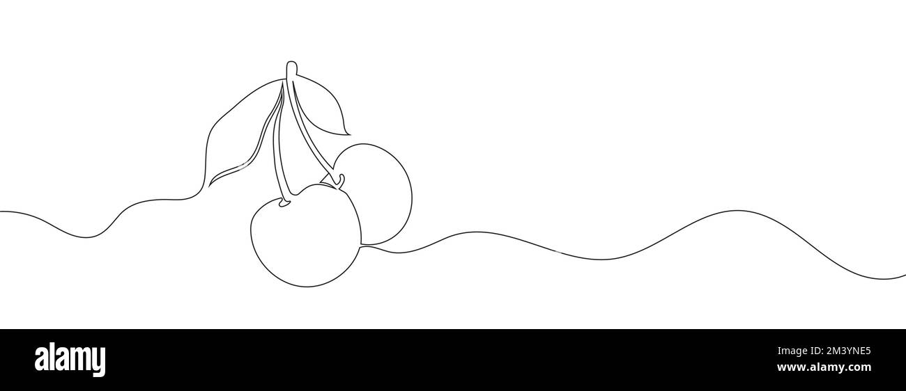 Cherry fruits continuous line drawn isolated on white background ...