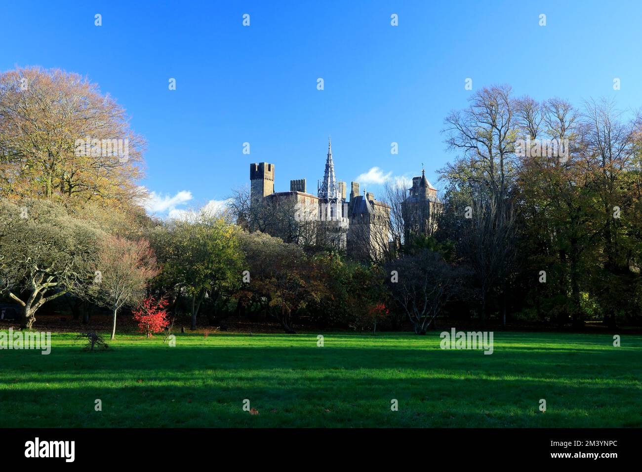 Grounds of cardiff castle hi-res stock photography and images - Alamy