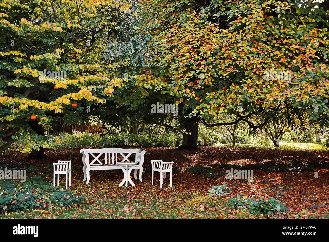 Seating group with white wooden furniture under trees in autumn Stock ...