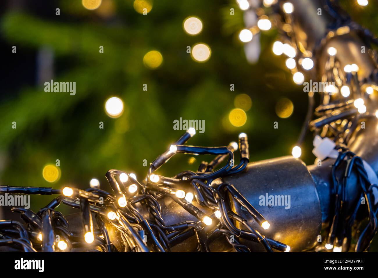 Christmas lights wrapped around tree hi-res stock photography and ...