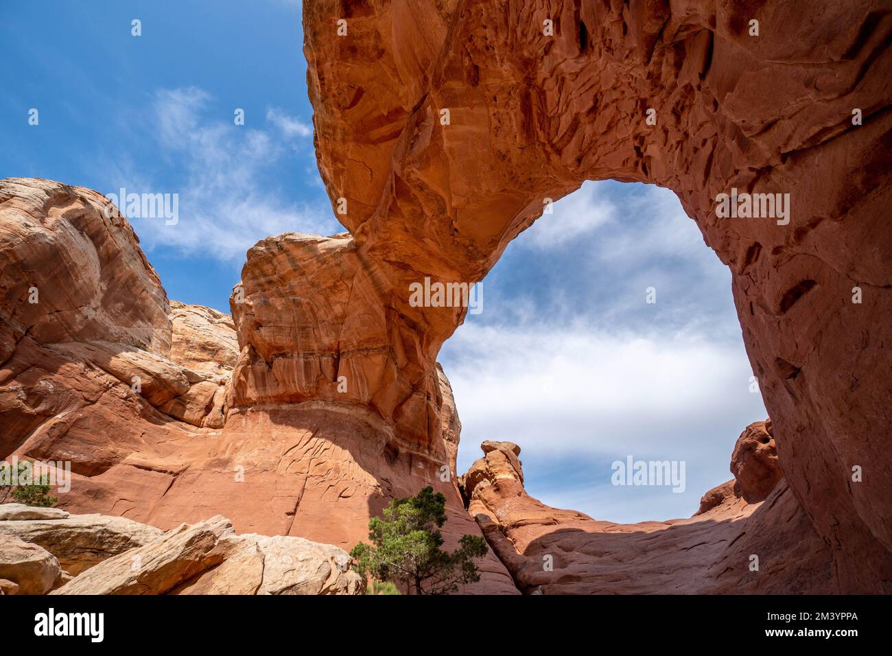 Explore arizona canyons hi-res stock photography and images - Alamy