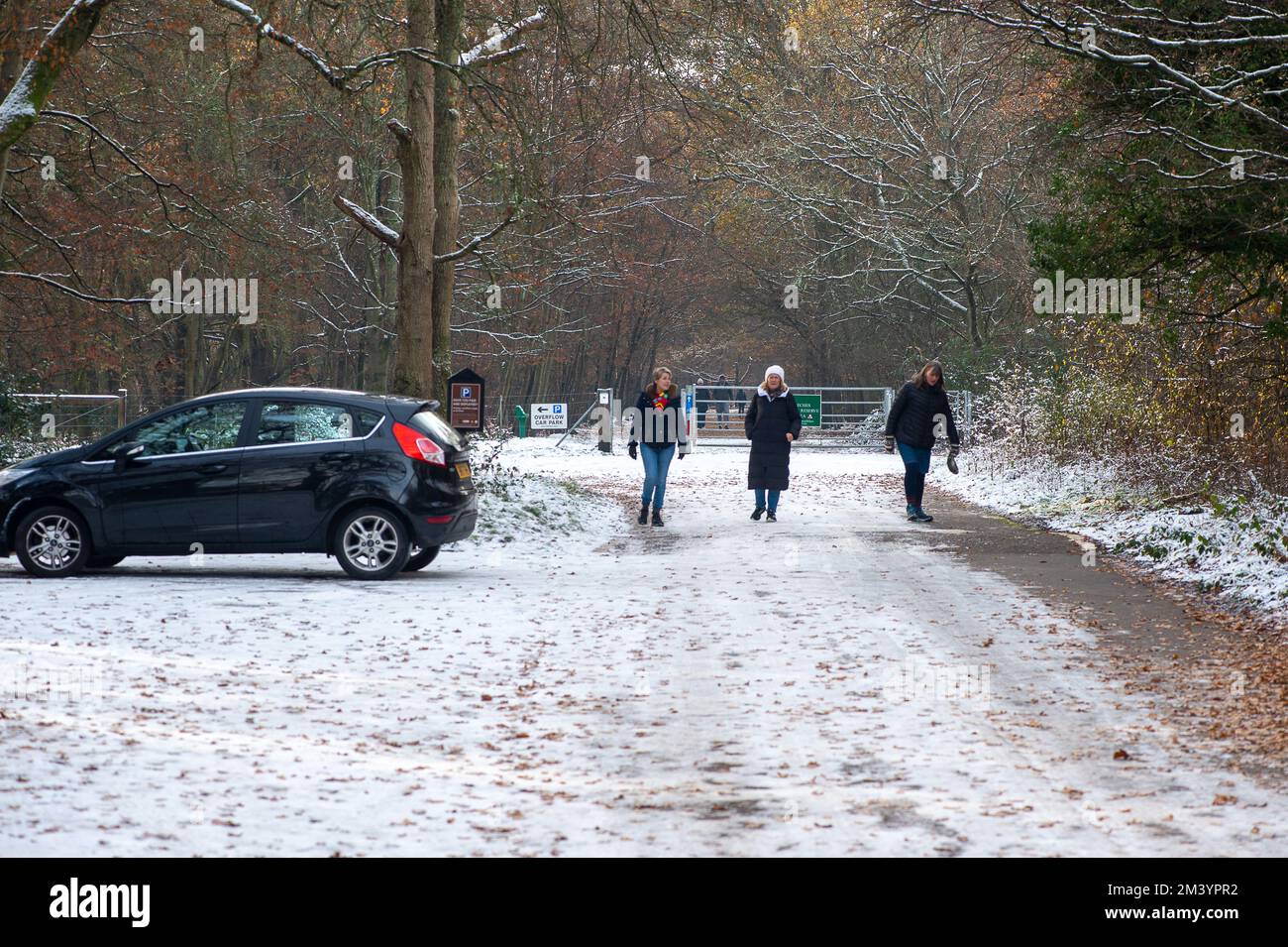 Farnham common burnham beeches hi-res stock photography and images - Alamy