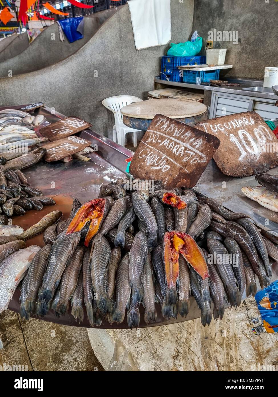 Fresh fish for sale, Ver-o-peso market hall, Belem, Brazil Stock Photo ...