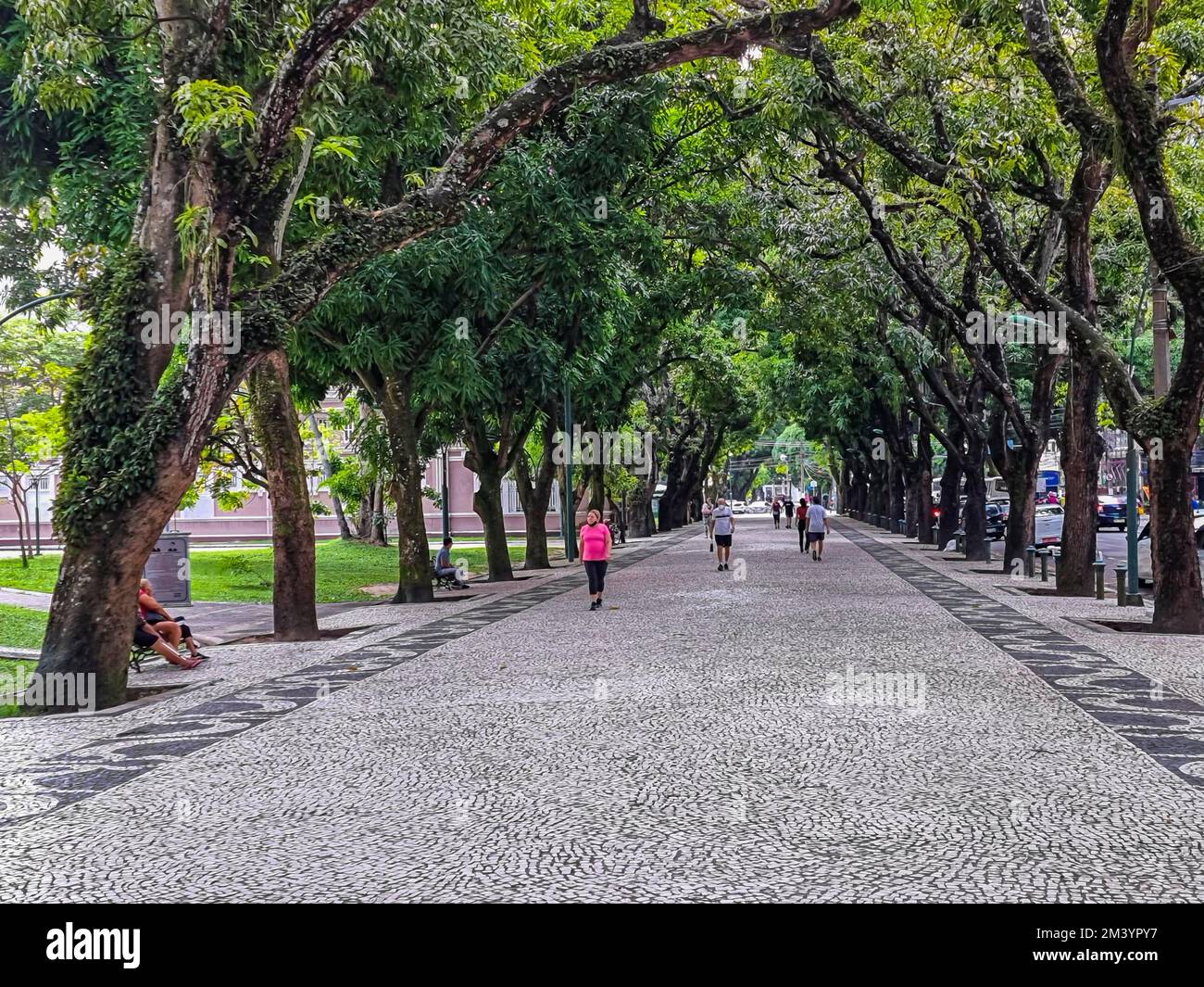 Tree covered avenida preisdente Vargas, Belem, Brazil Stock Photo - Alamy
