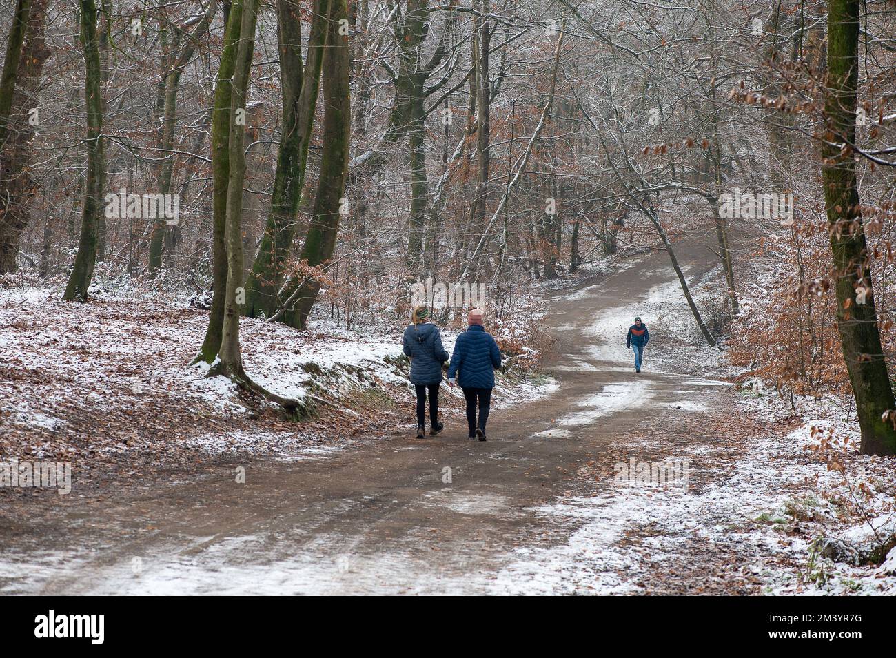 Farnham common burnham beeches hi-res stock photography and images - Alamy
