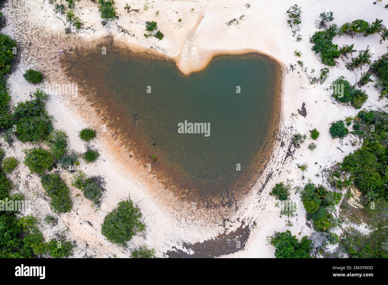 Cross shaped lake, Alter do Chao, Para, Brazil Stock Photo - Alamy