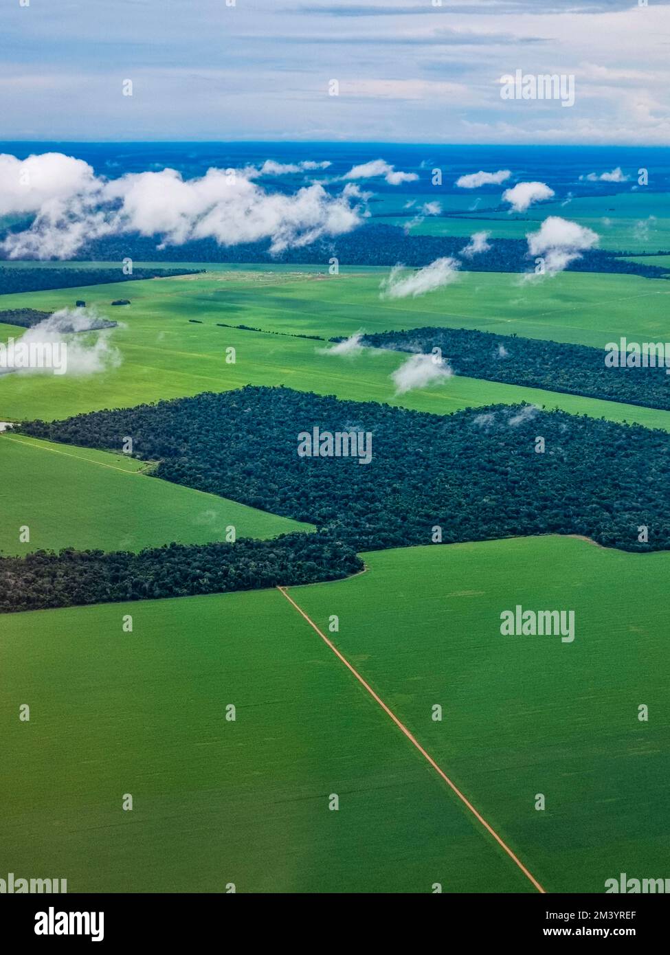 Aerial of the giant soy fields around Sinop, Mato Grosso, Brazil Stock ...