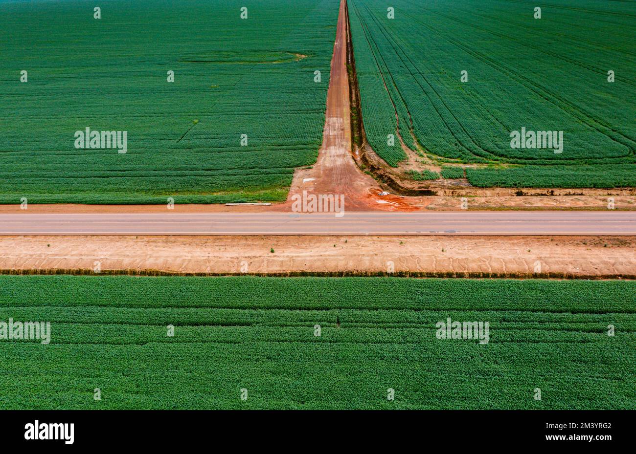 Giant soy fields, Sinop, Mato Grosso, Brazil Stock Photo - Alamy