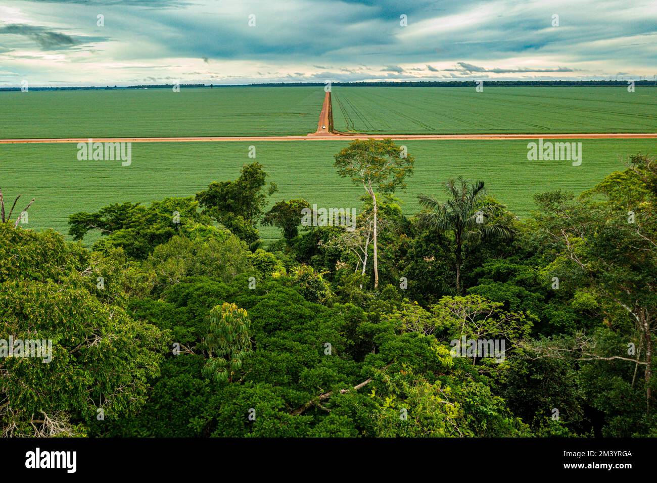 Giant soy fields, Sinop, Mato Grosso, Brazil Stock Photo - Alamy