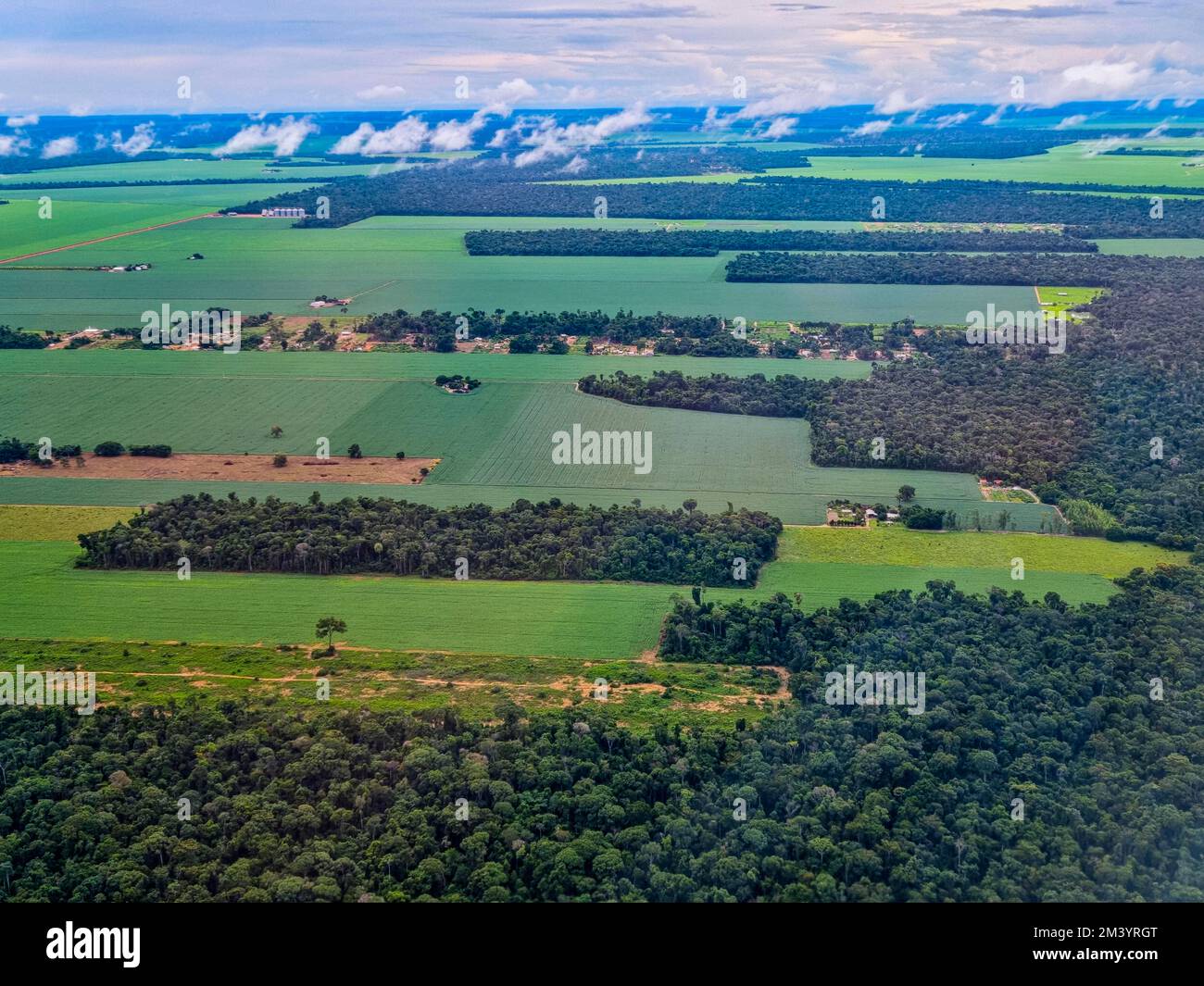Aerial of the giant soy fields around Sinop, Mato Grosso, Brazil Stock ...