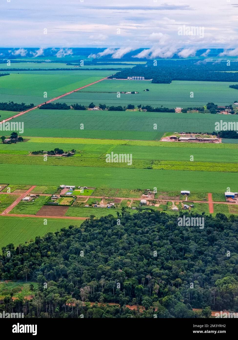 Aerial of the giant soy fields around Sinop, Mato Grosso, Brazil Stock ...