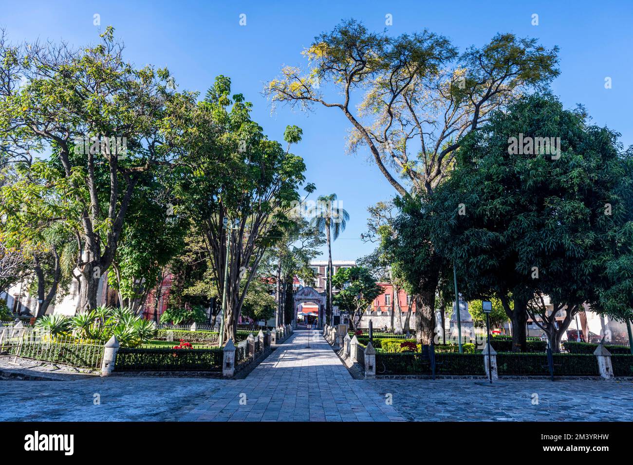 Cathedral of Cuernavaca, Unesco site Earliest 16th-century monasteries ...
