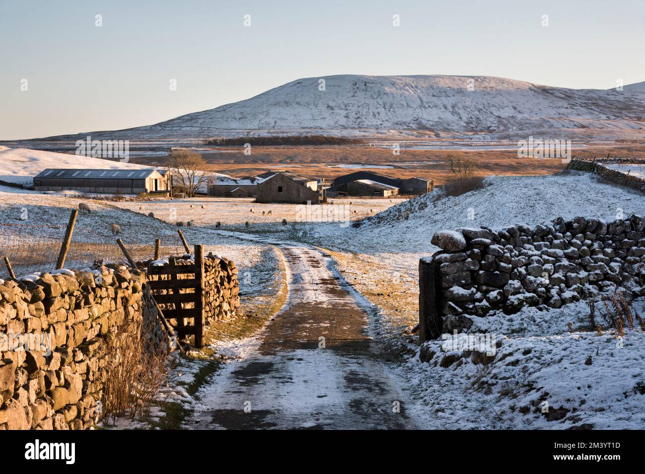 Outlier hi-res stock photography and images - Alamy