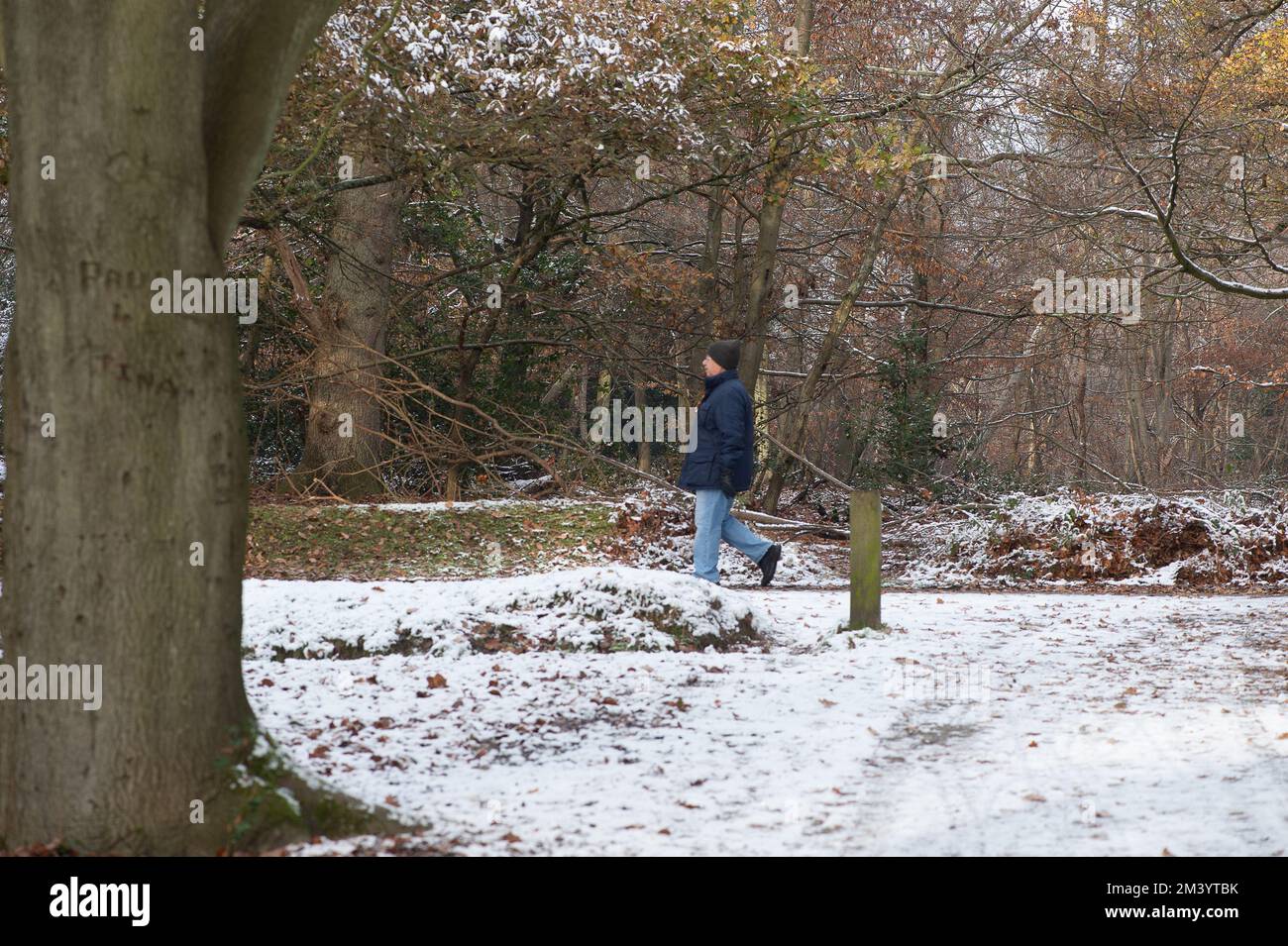 Farnham common burnham beeches hi-res stock photography and images - Alamy
