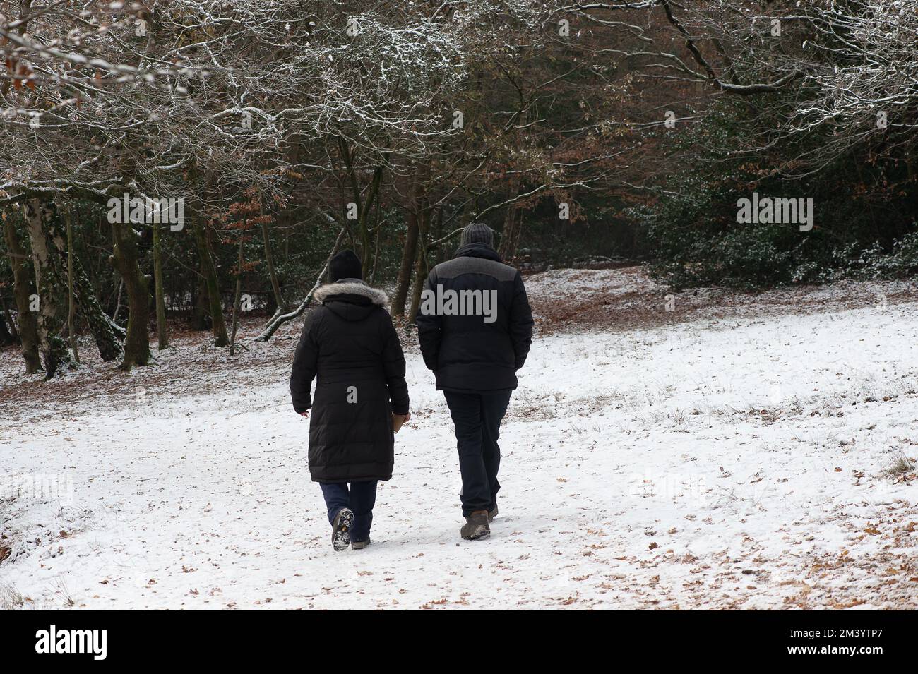 Farnham common burnham beeches hi-res stock photography and images - Alamy