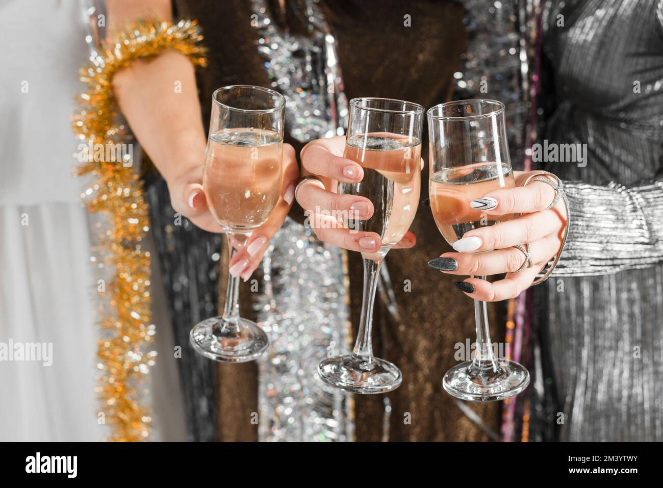 Elegant girls toasting with champagne Stock Photo - Alamy
