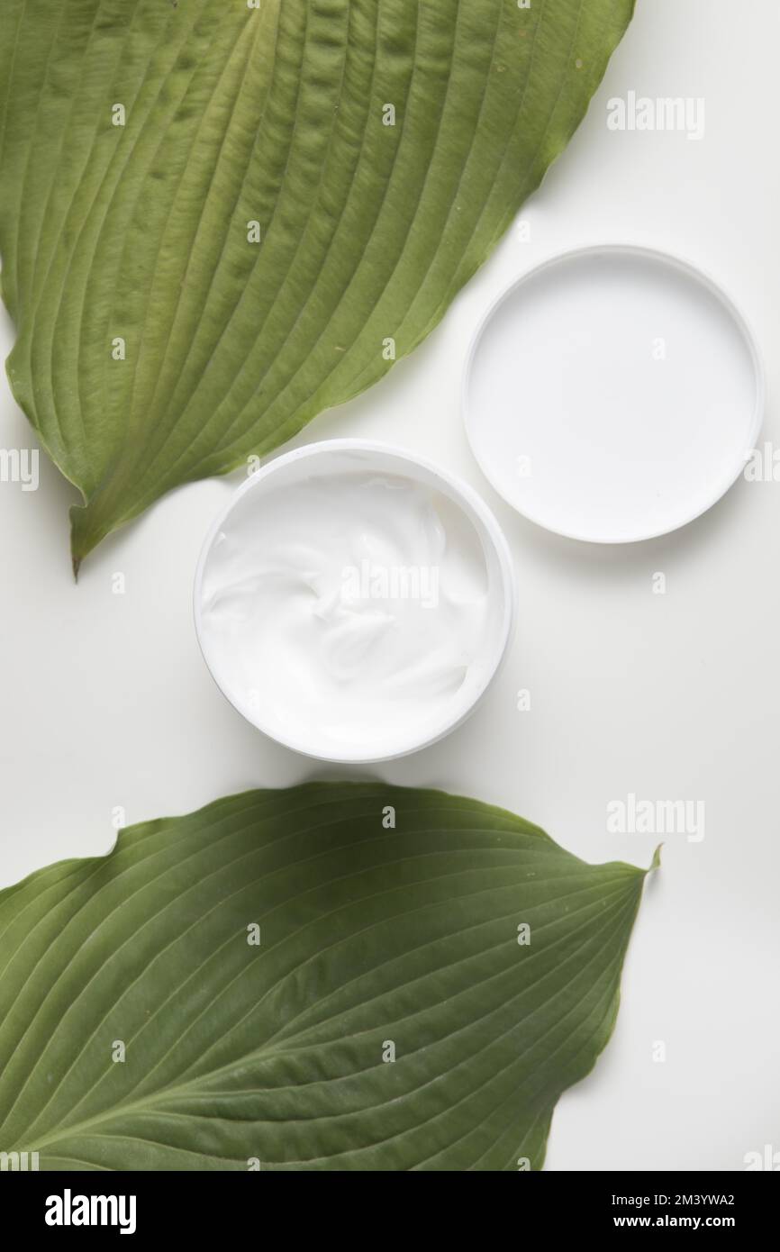 Flat lay cream leaves white background Stock Photo - Alamy