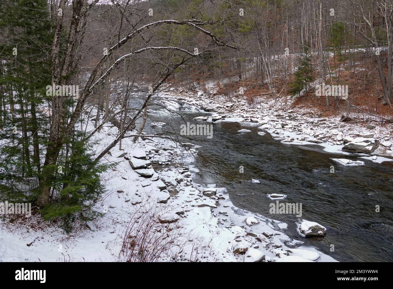 Evergreen trees in vermont hi-res stock photography and images - Alamy