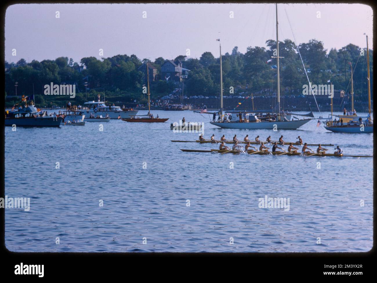 Rowing, Harvard-Yale Regatta , Toni Frissell, Antoinette Frissell Bacon ...