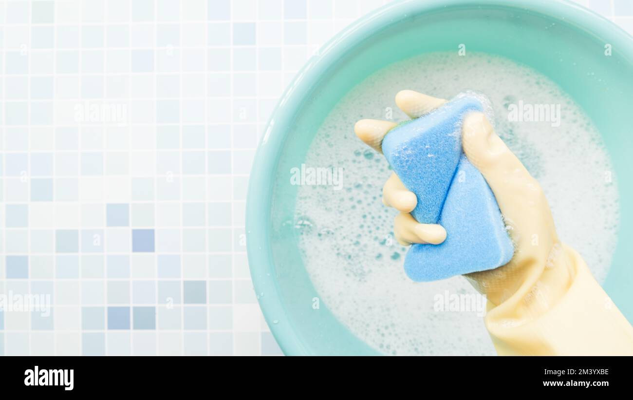 Hand holding sponge Stock Photo - Alamy