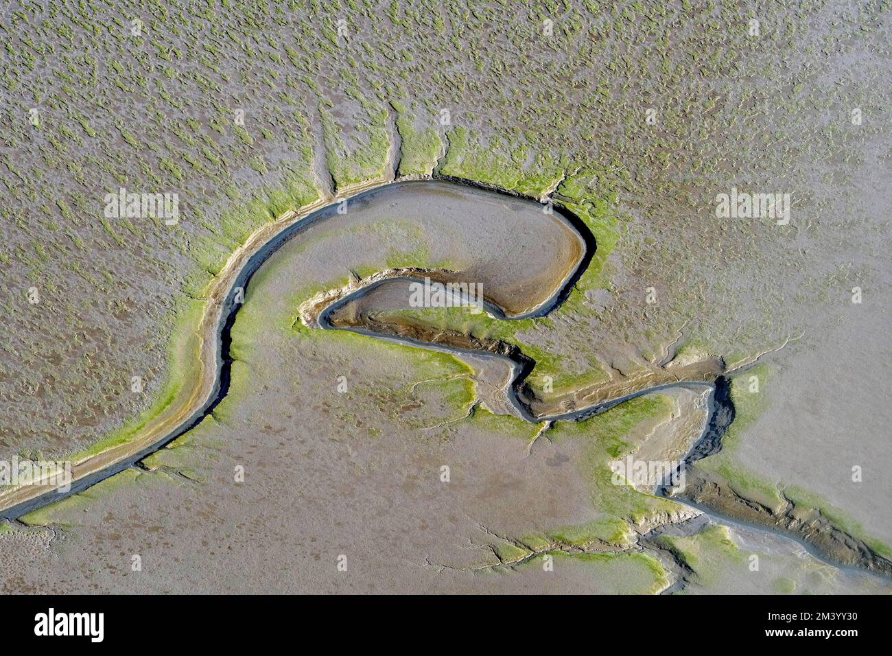 Aerial view of tidal creeks and sandbanks in the North Sea, Wadden Sea ...