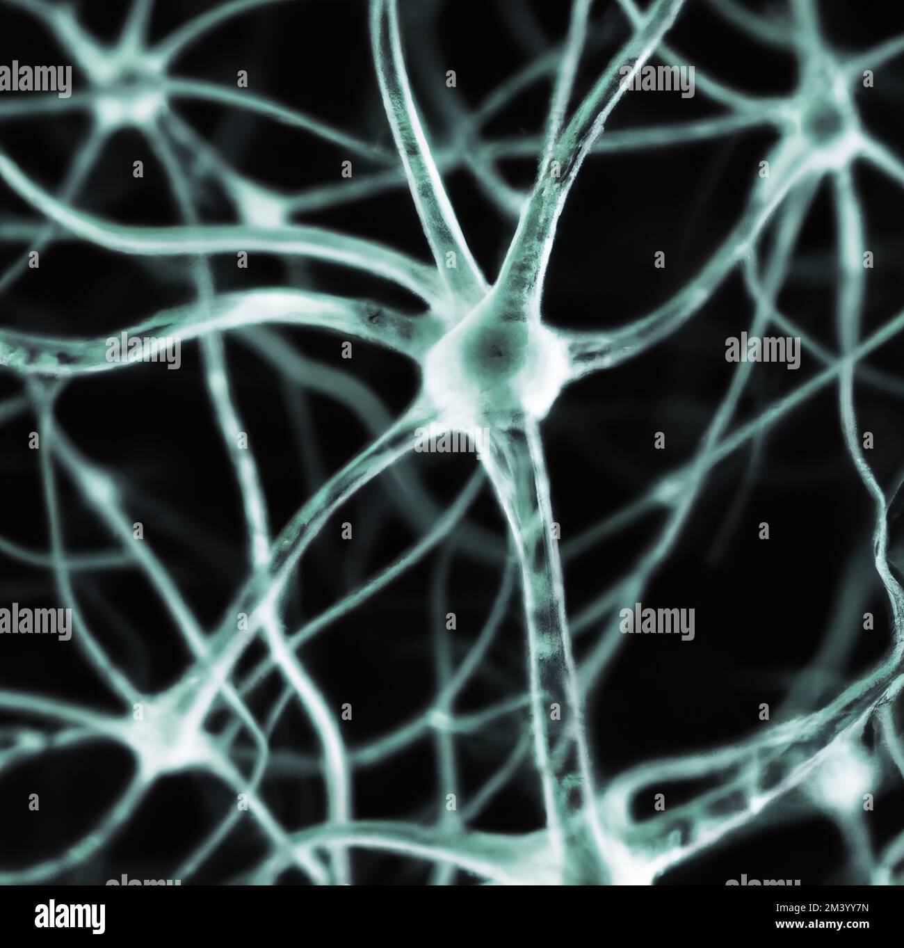 Active human nerve cells illustration Stock Photo - Alamy
