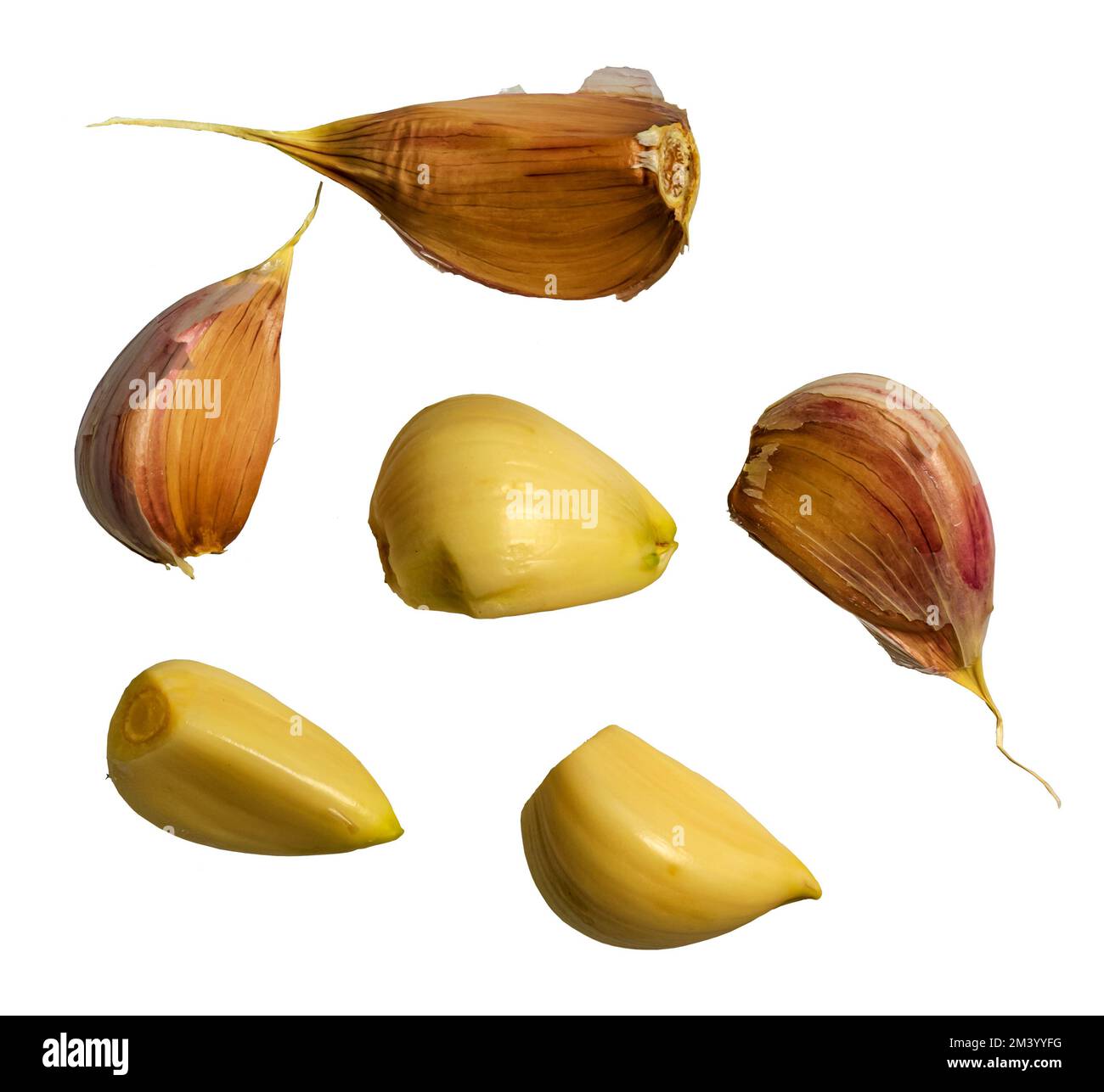 Peeled and unpeeled garlic cloves from different angles isolated on ...