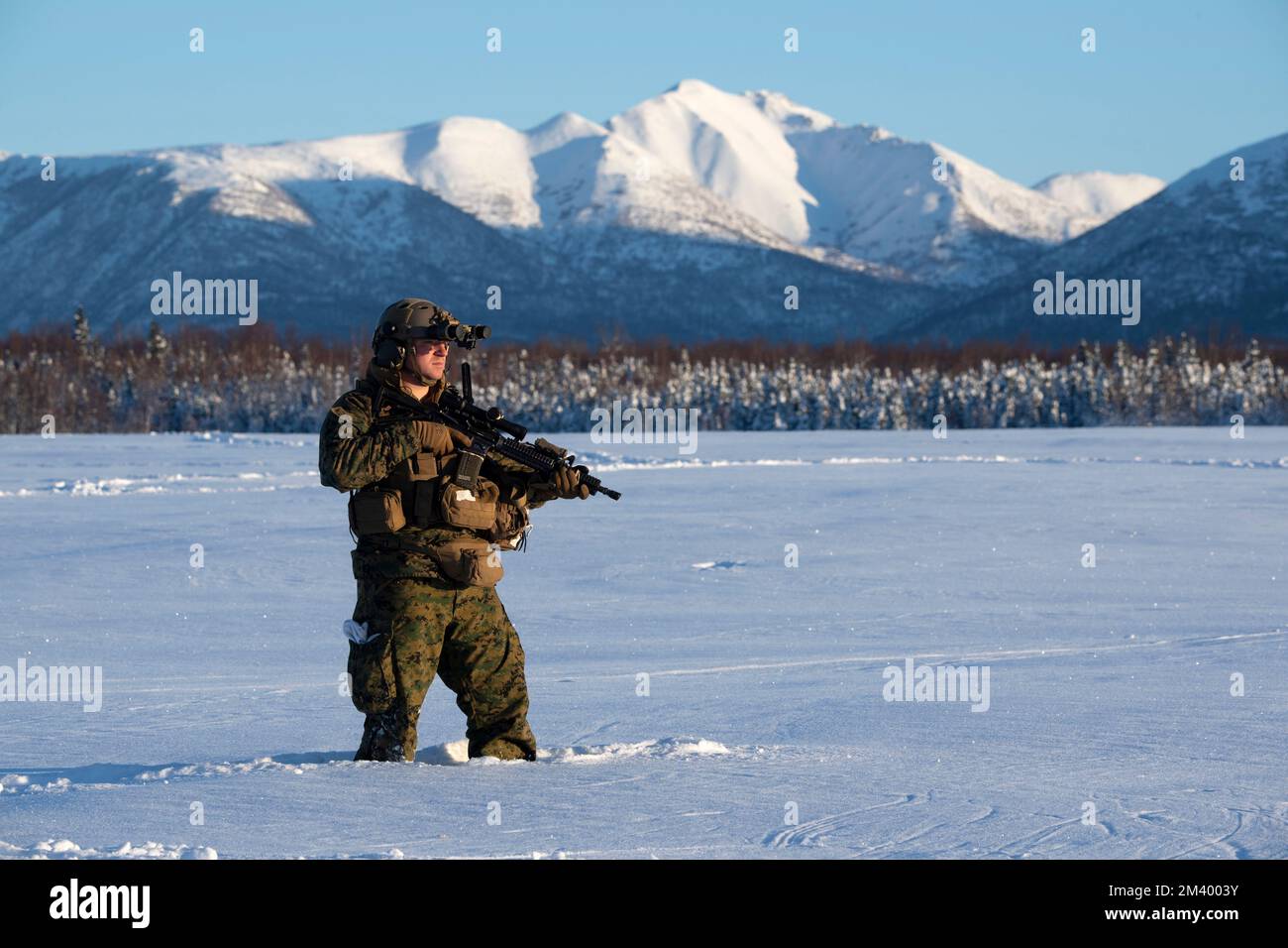 A U.S. Marine assigned to the 2d Reconnaissance Battalion, 2d Marine ...