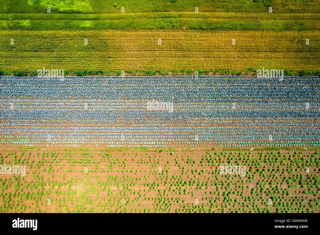 Colourful farmland seen from above, the agricultural landscape of the ...
