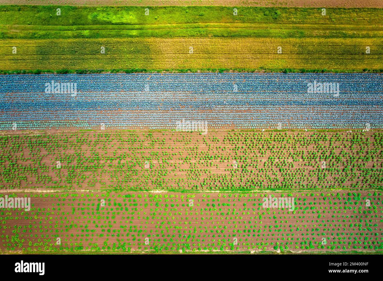 Colourful farmland seen from above, the agricultural landscape of the ...