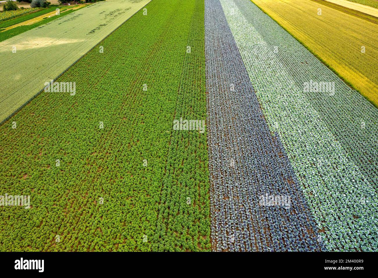Colourful farmland seen from above, the agricultural landscape of the ...